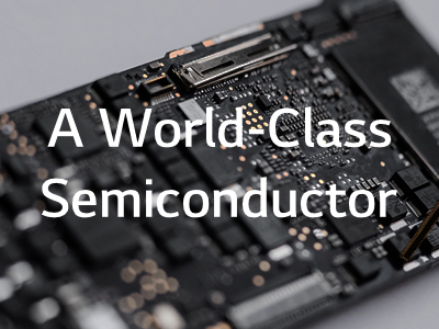 Power Management | LX Semicon